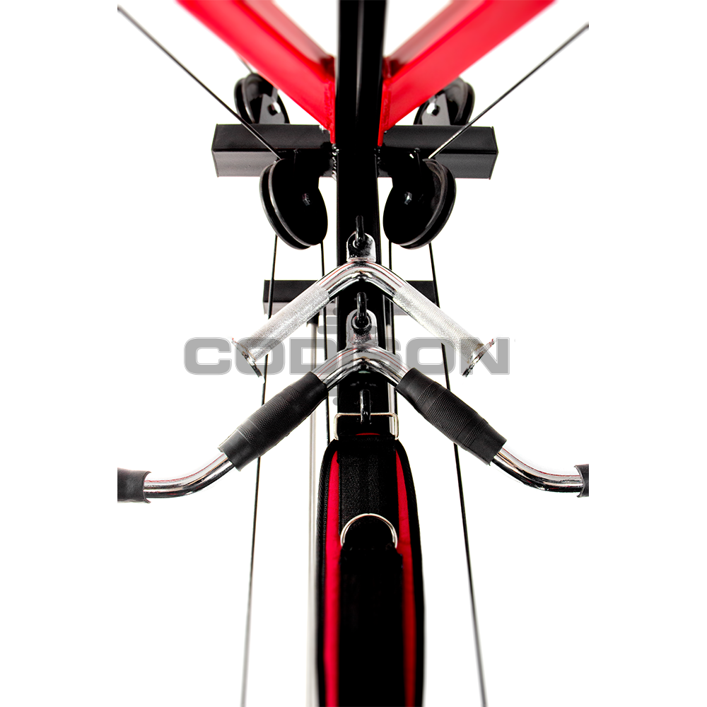 MULTIFUERZA PRO HOME – CODISON SPORT